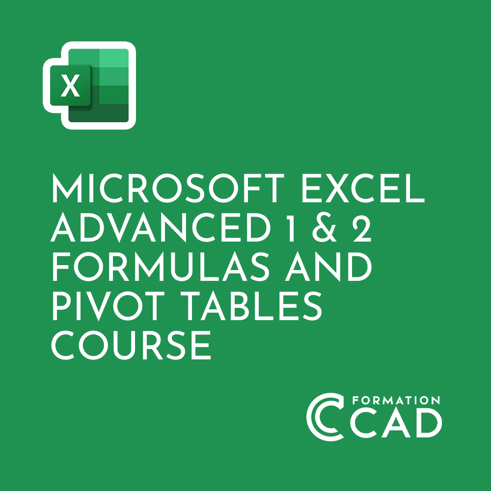 Microsoft Excel Advanced 1 & 2 : Formulas and Pivot Tables – Formation CAD