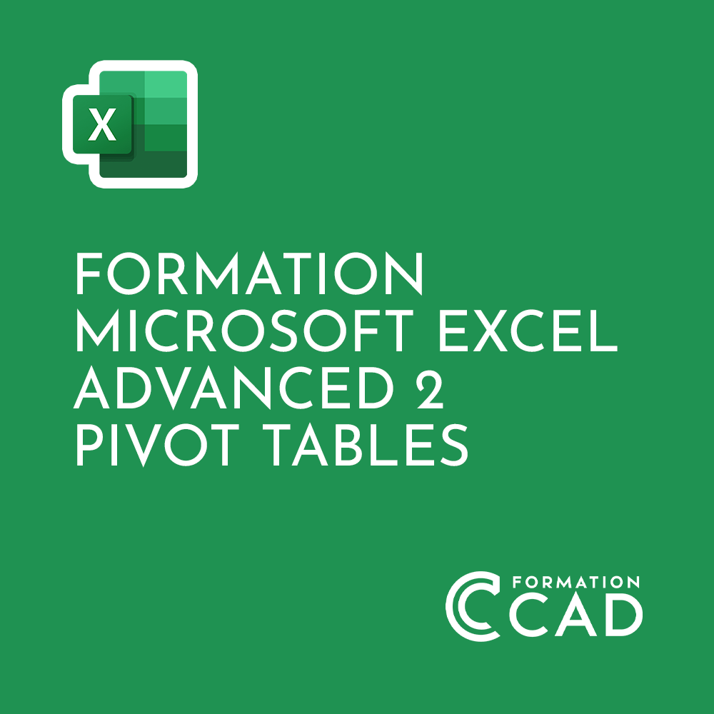 Microsoft Excel Advanced 2 : Pivot Tables - Formation CAD