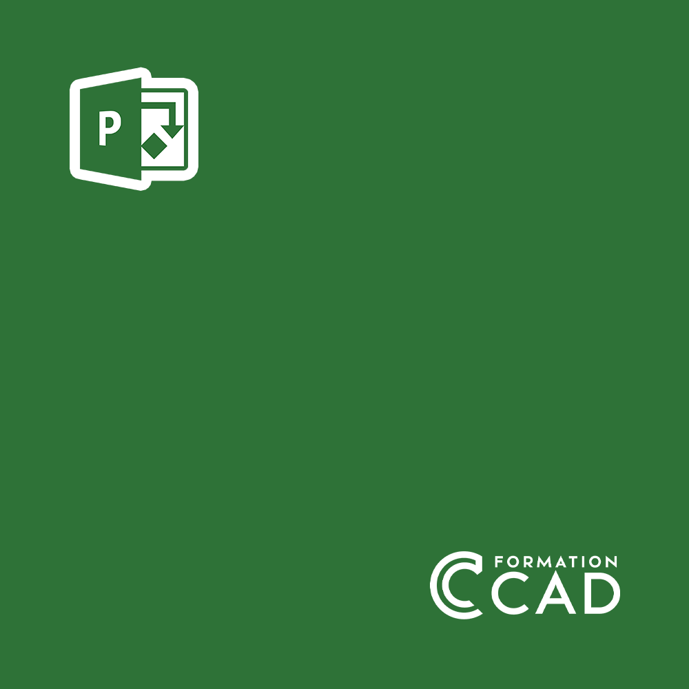 Microsoft Project Advanced - Formation CAD